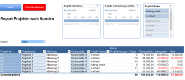 Grundlagen Projektcontrolling, Projektmanagement, Instrumente und Methoden